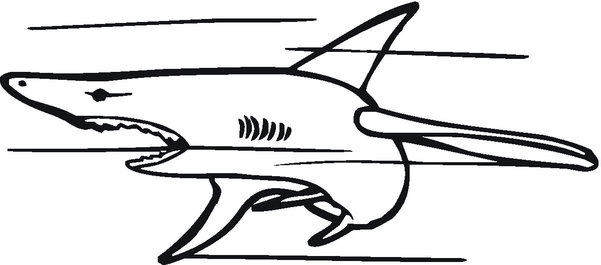 10 Disegni Squalo Bianco da Colorare