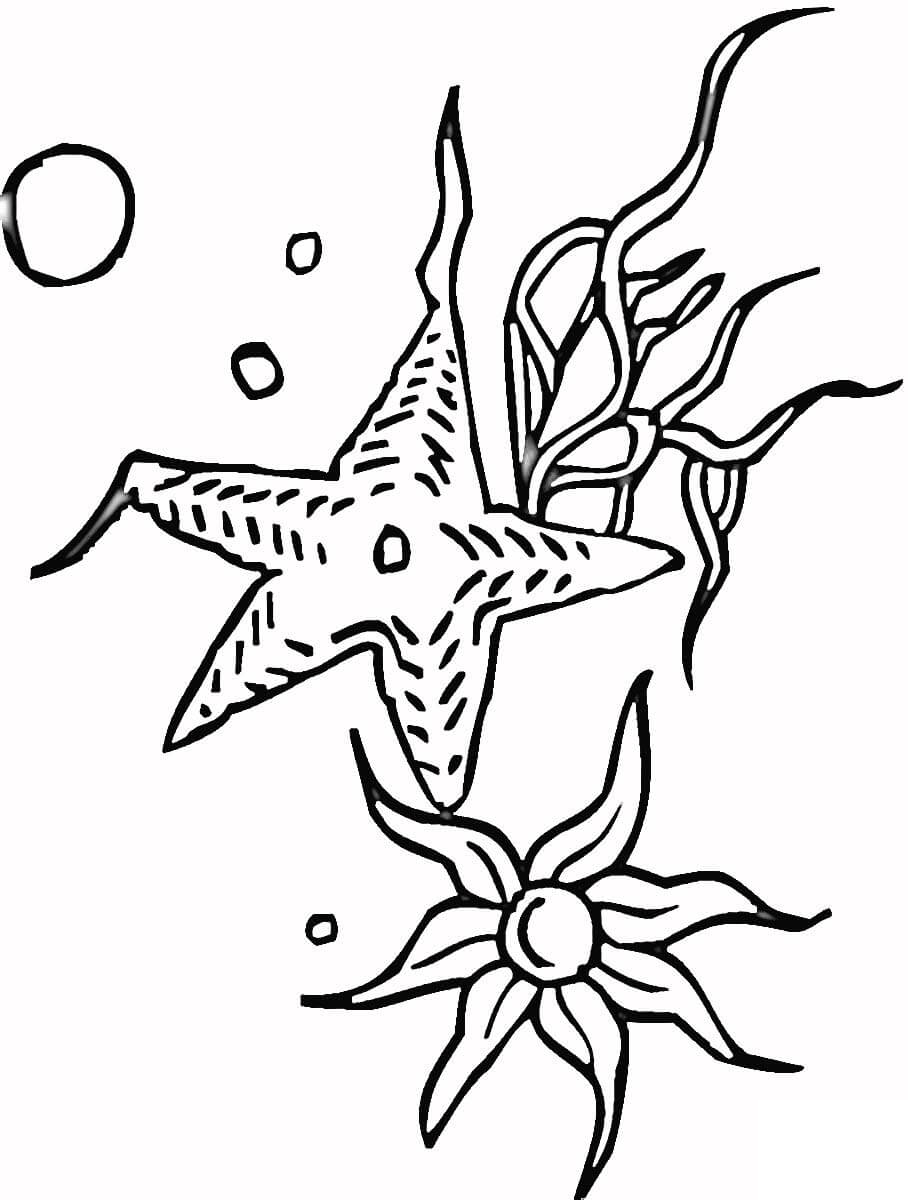 11 Disegni Stella Marina da colorare per bambini